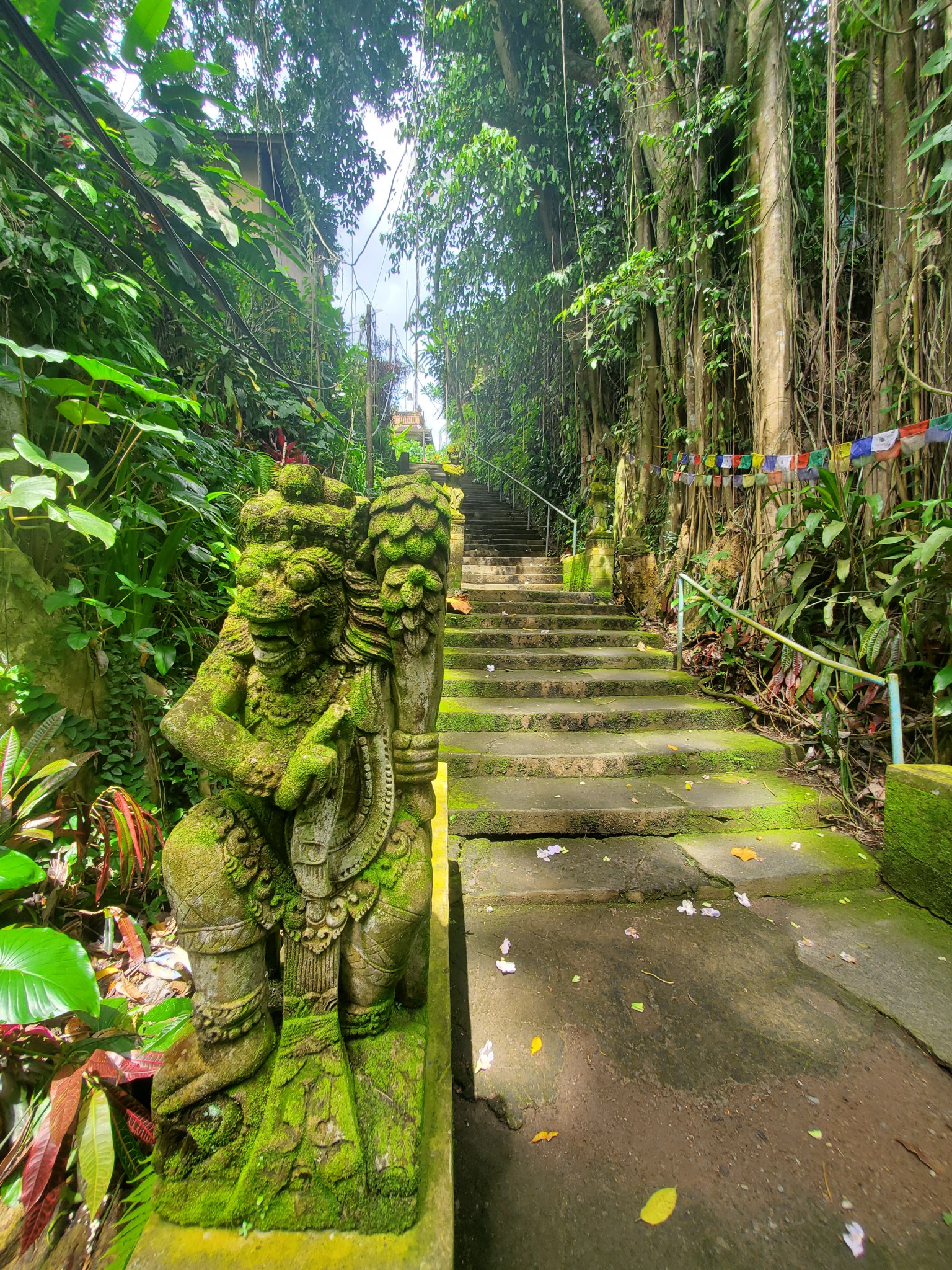 Ubud Self Guided Walking Tour (Secret Moss Temple and Rice Fields ...