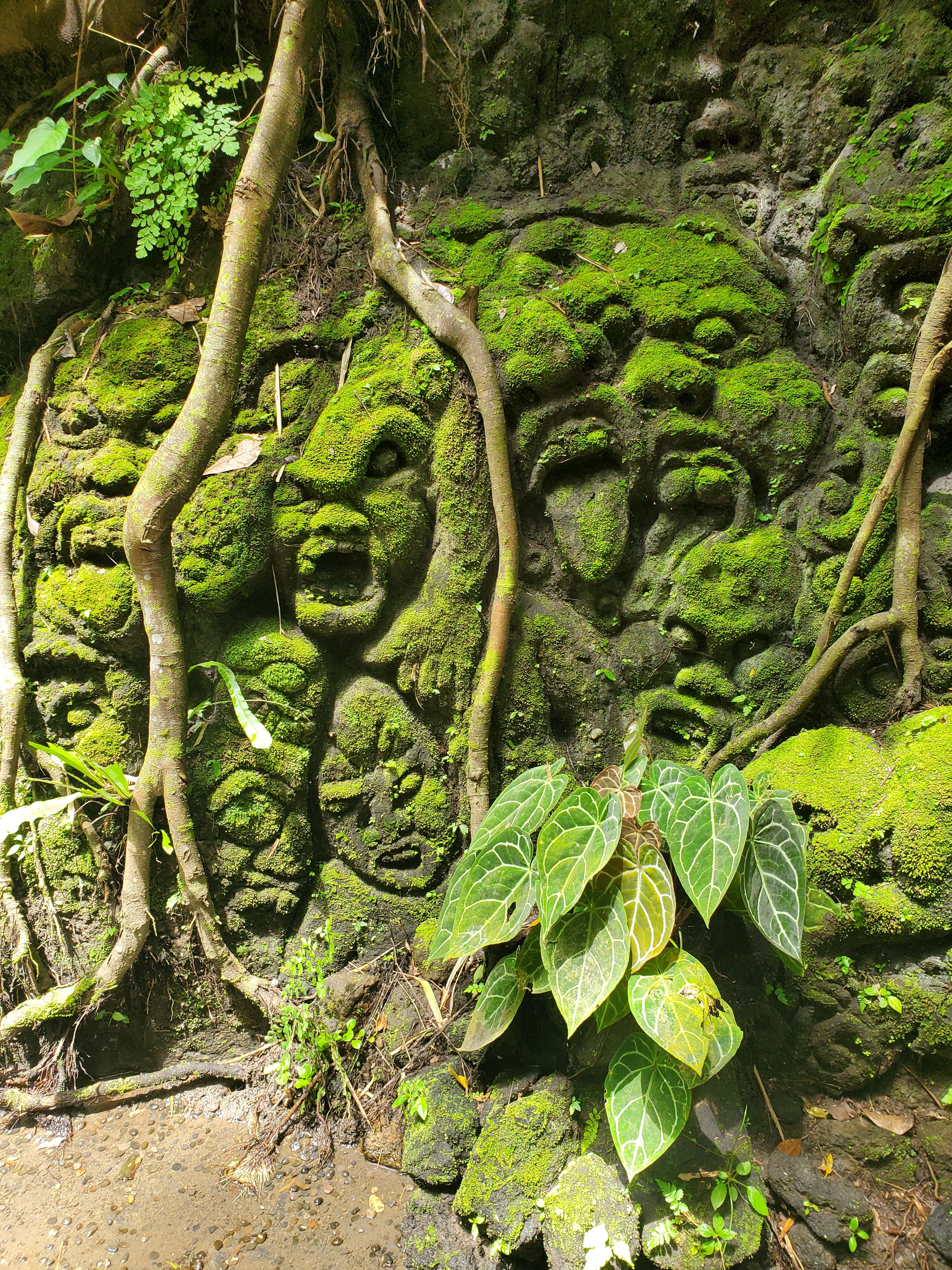 Ubud Self Guided Walking Tour (Secret Moss Temple and Rice Fields ...