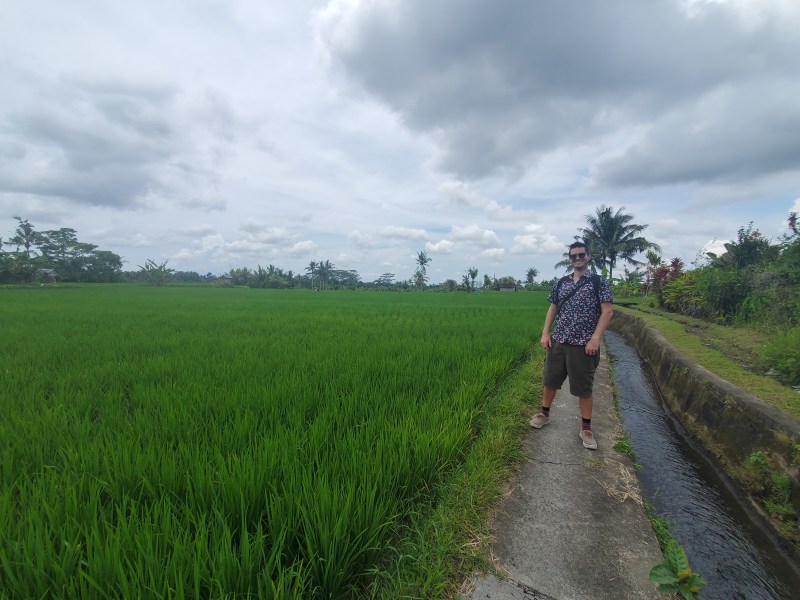 Ubud Self Guided Walking Tour (Secret Moss Temple and Rice Fields ...