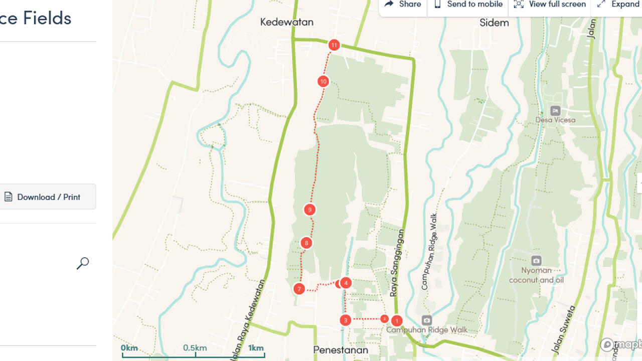 Ubud Self Guided Walking Tour (Secret Moss Temple and Rice Fields ...