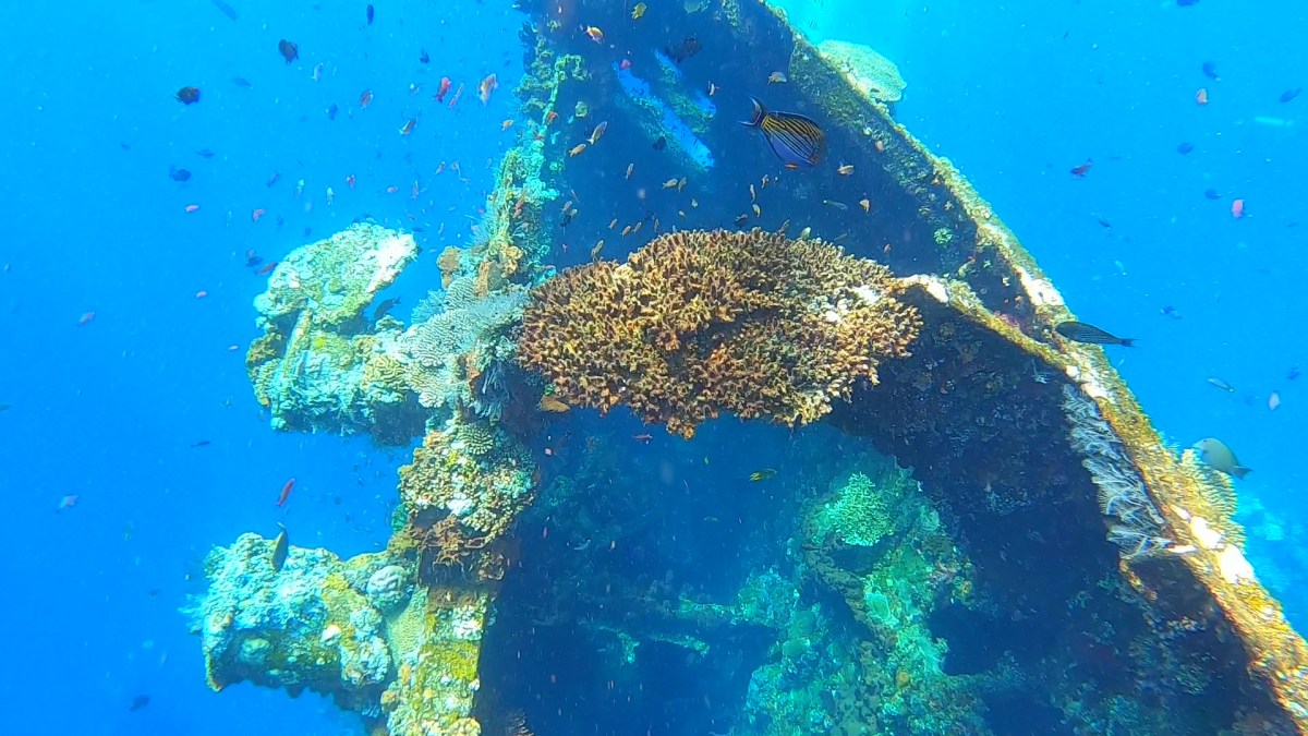 Snorkeling the USS Liberty, Tulamben (Bali, Indonesia) WW2 Shipwreck ...